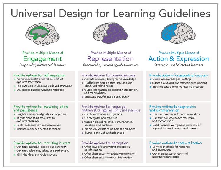 Universal Design For Learning Guidelines - Design Talk Universal Design For Learning Guidelines - Design Talk